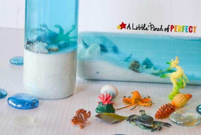 Marine Science Adventures: Engaging Students with DIY Aquarium Projects ...